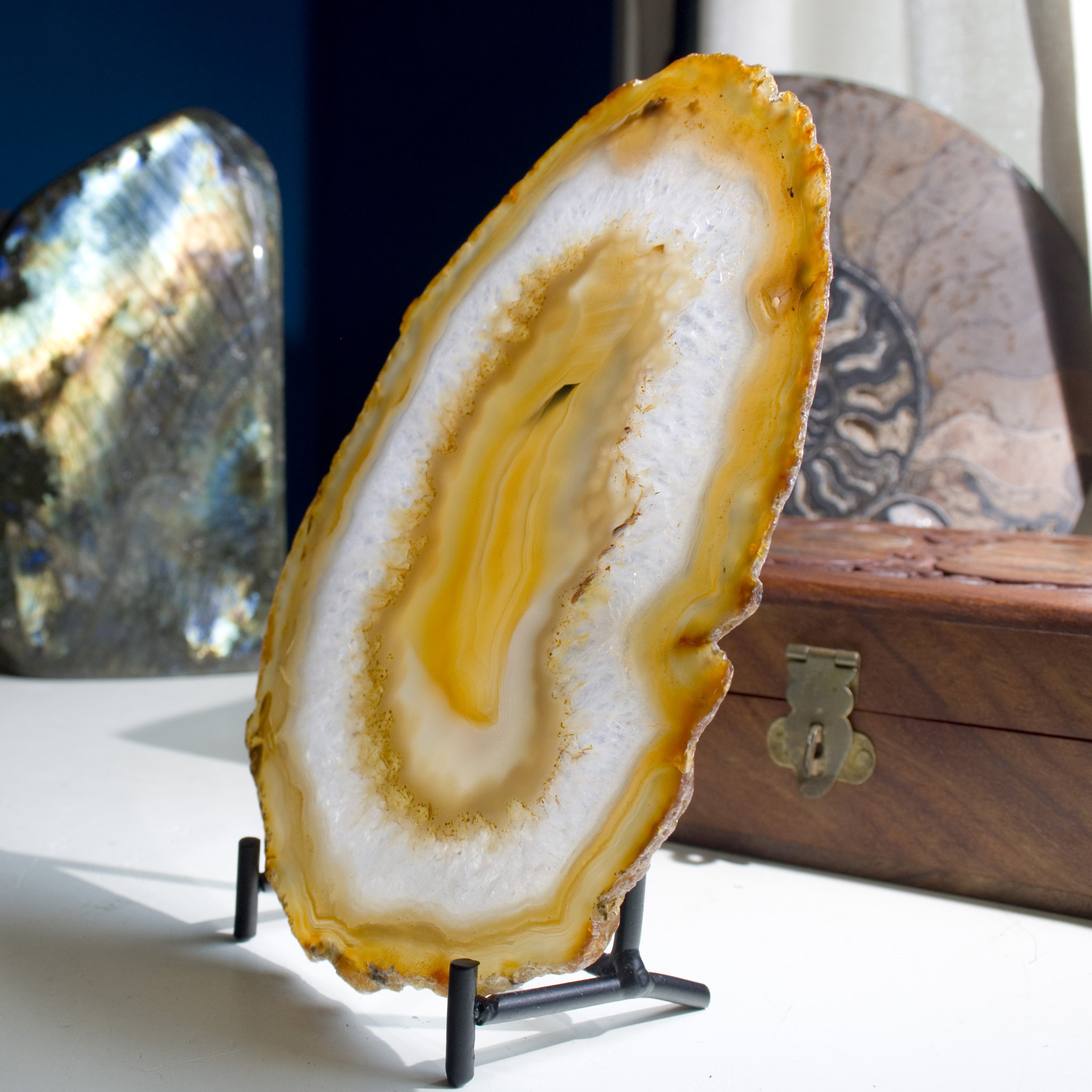 Mercer41 Linhurst Crystal | Wayfair