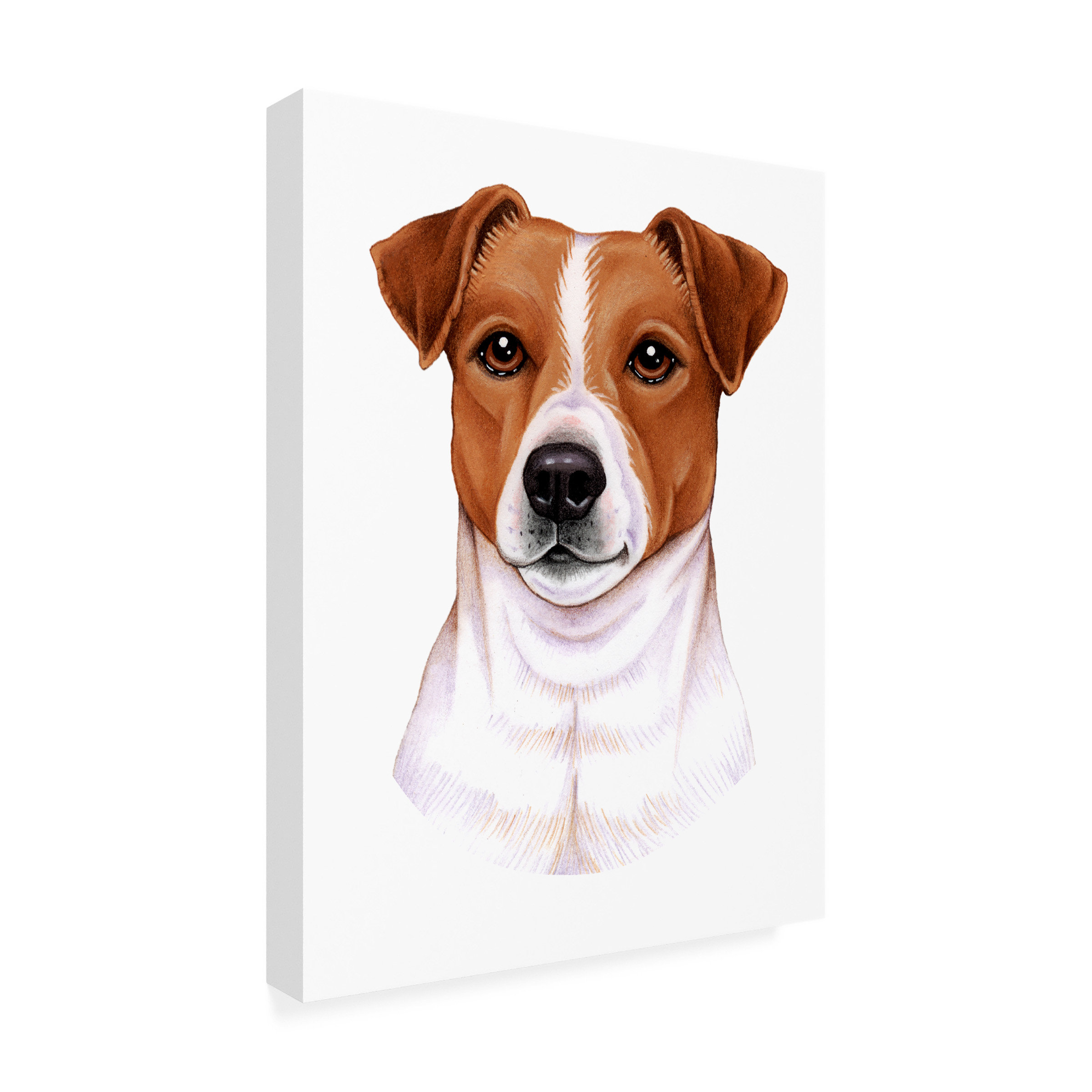 Winston Porter Tomoyo Pitcher 'Jack Russell' Canvas Art - Wayfair Canada