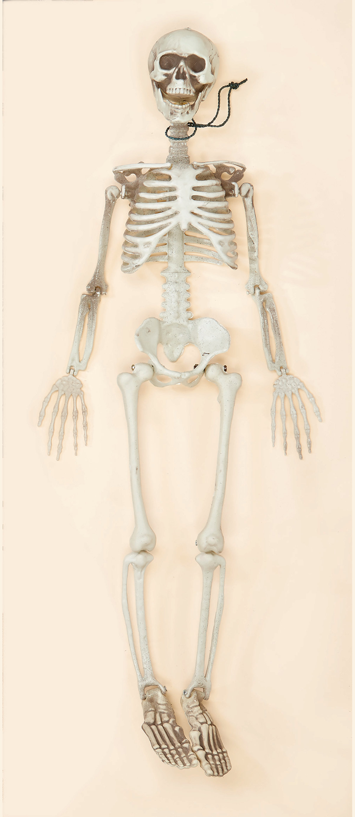 The Holiday Aisle® Jointed Skeleton | Wayfair