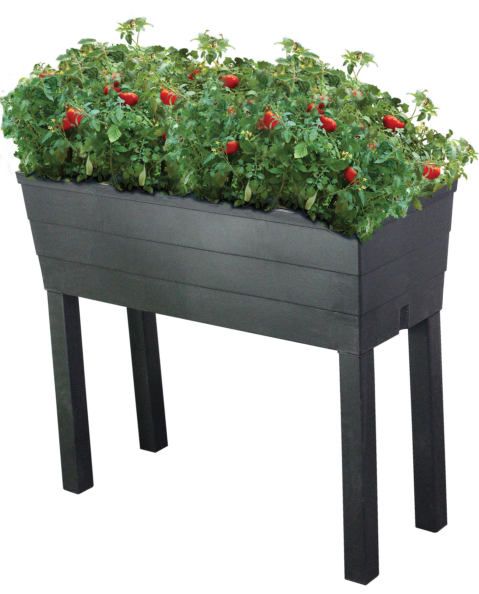 Ebern Designs City Pickers High-Rise Elevated Garden Bed - Wayfair Canada