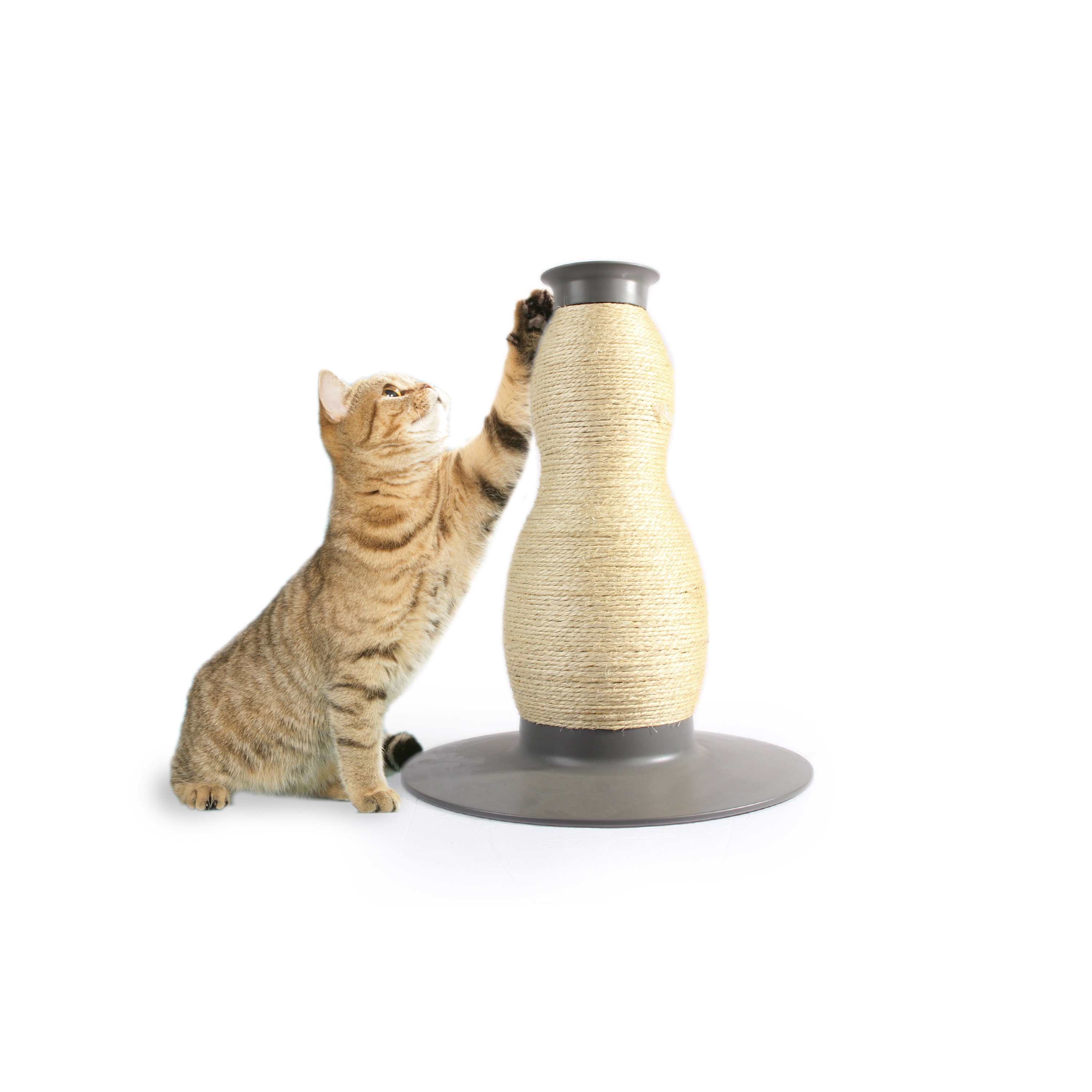 Tucker Murphy Pet™ Vase Cat Scratching Post Kitten Sisal Scratcher ...