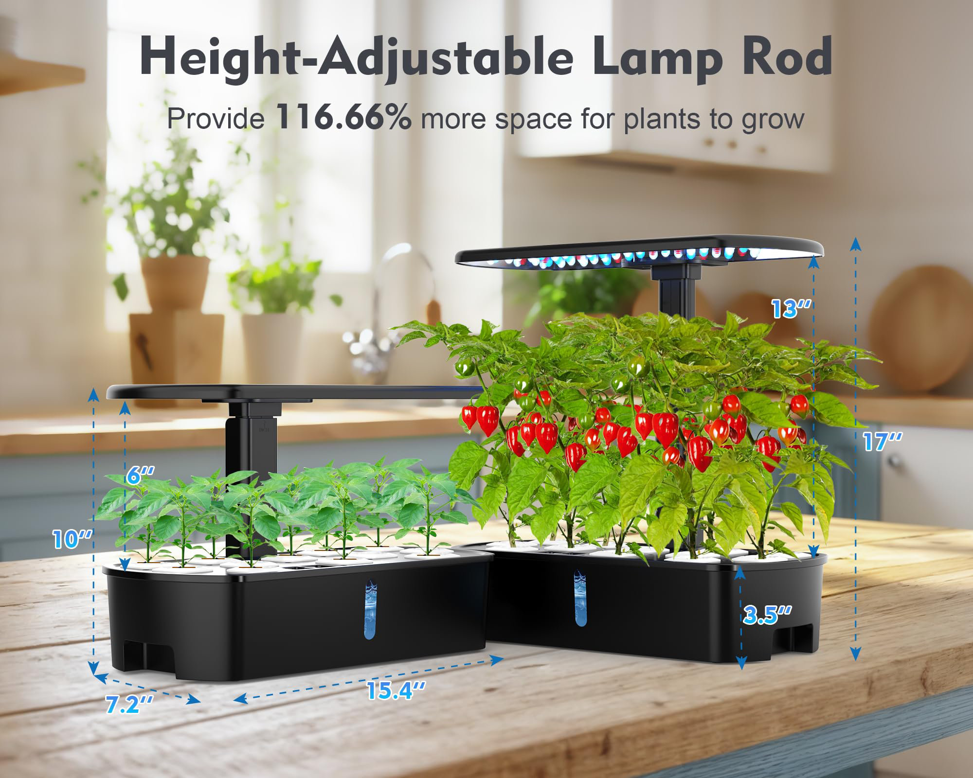 BEACHWATER POOL & SPA, LLC Hydroponics Growing System Kit 12 Pods ...
