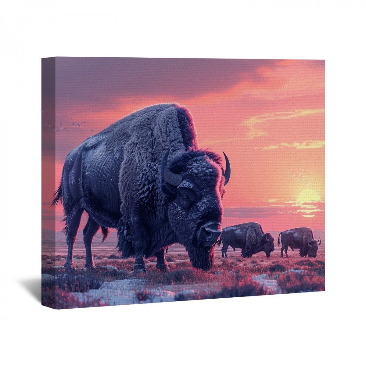 Union Rustic Sunset Bison Framed On Canvas Print | Wayfair