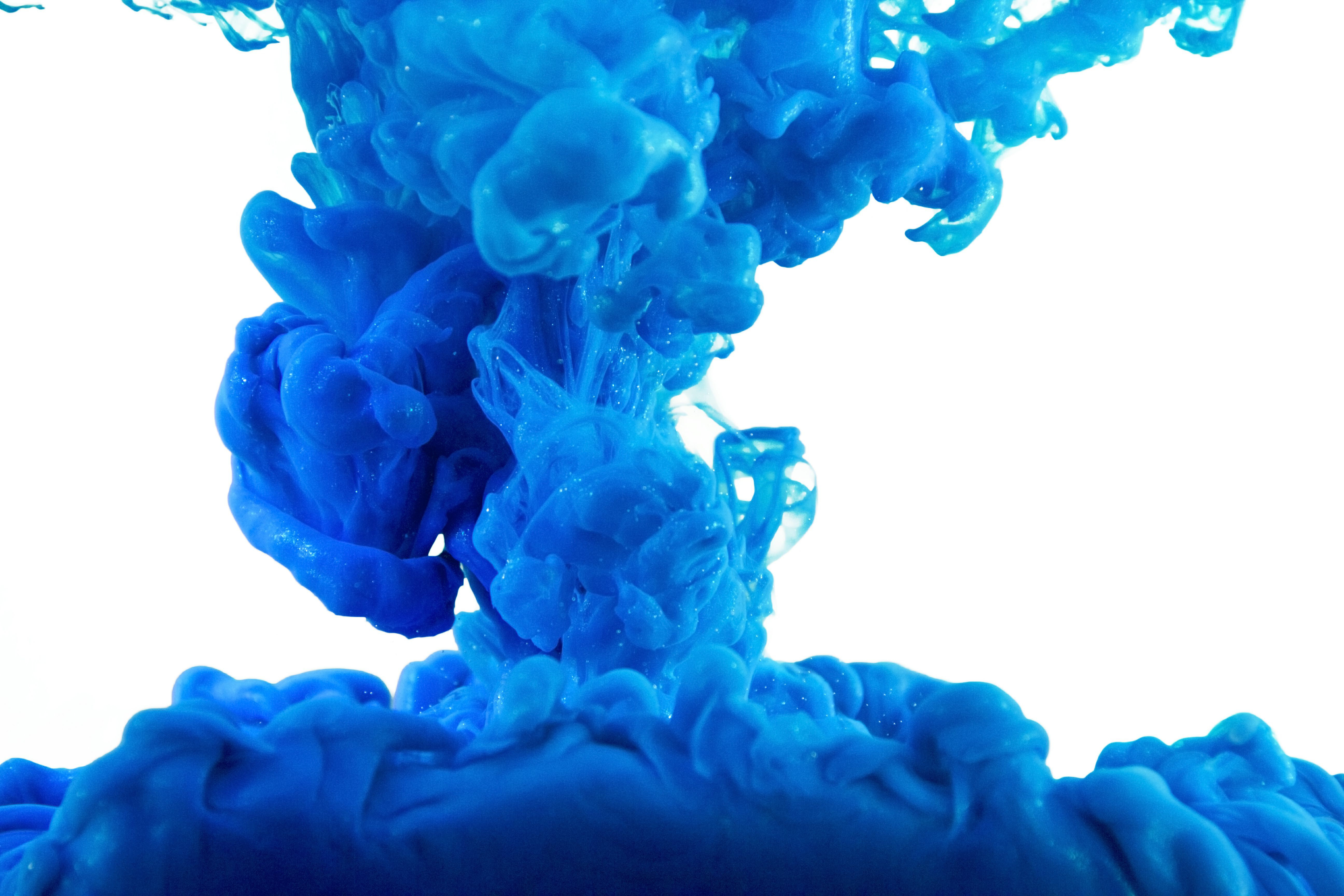 Wrought Studio™ Ingwald Blue Color In Water by - Wrapped Canvas ...