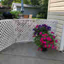 MyGift Garden Outdoor Privacy Fence Screen & Reviews | Wayfair