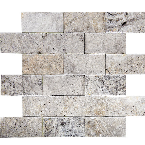 PataraStone Split Face 2" x 4" Mosaic Tile in Silver & Reviews | Perigold