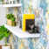 Harbour Housewares - Modern Floating Wall Shelves & Reviews | Wayfair.co.uk