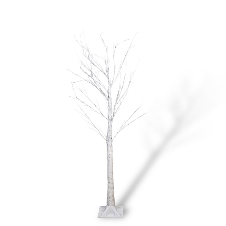 The Seasonal Aisle Mattoon LED Indoor / Outdoor Lighted Trees ...