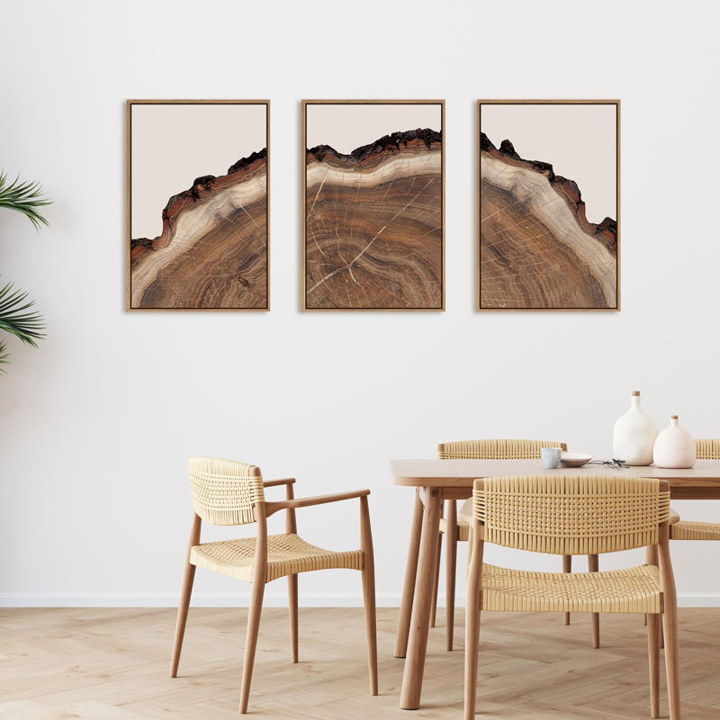 Esotos Vintage Wood Tree Rings Wall Art Set | Wayfair