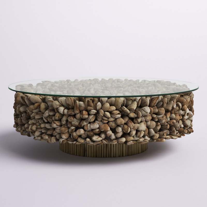 The Twillery Co.® Driftwood Handmade Collage and Pedestal Base Living ...