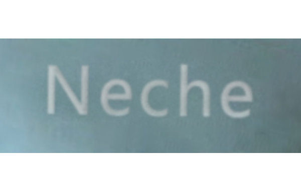 Neche | Wayfair.co.uk