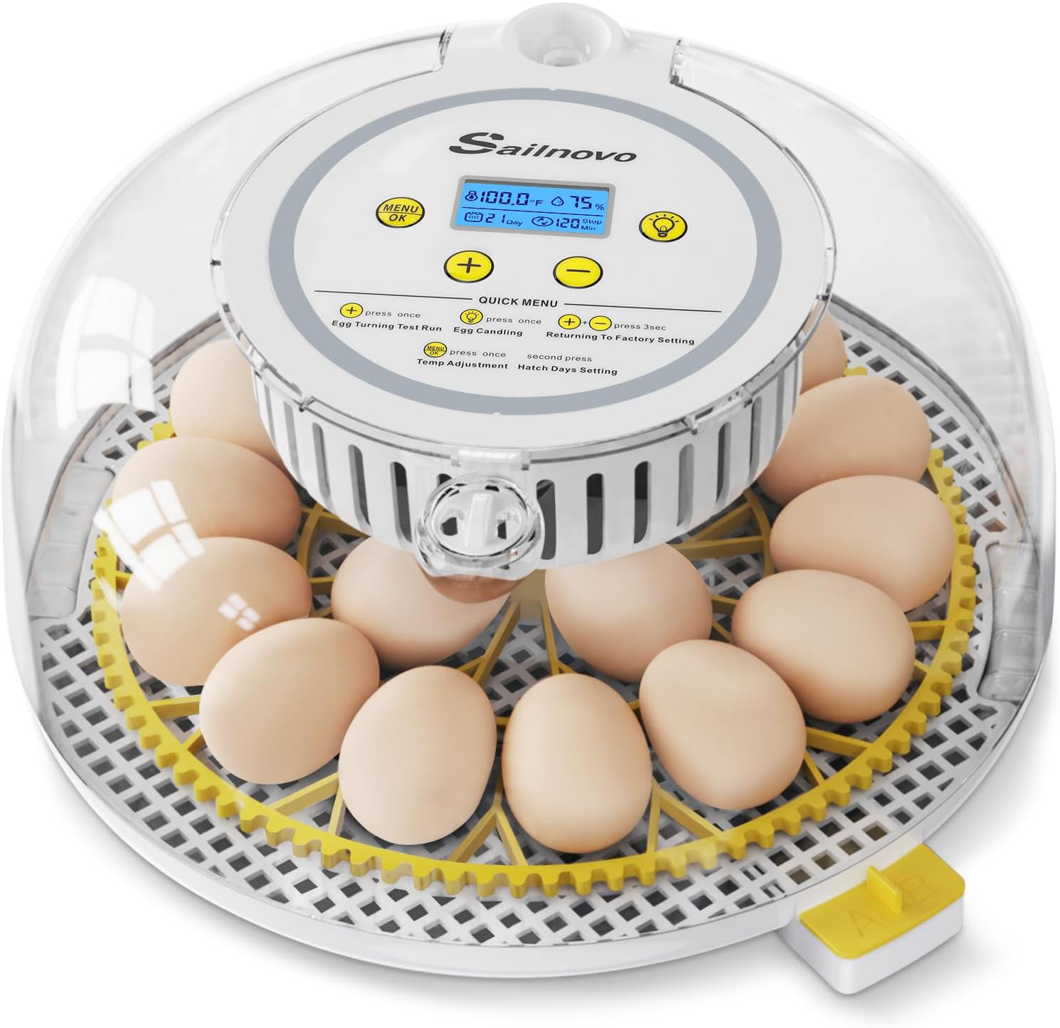 bird egg hatching temperature