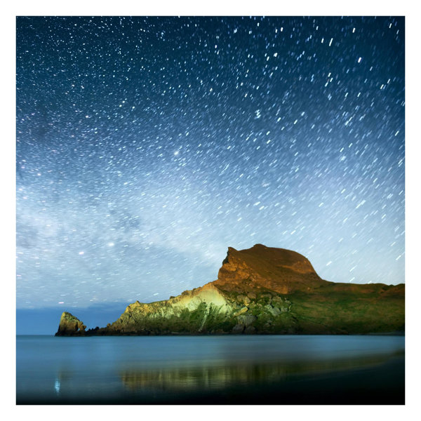 East Urban Home Starry Sky 1.92m x 1.92m Textured Matte Peel & Stick ...