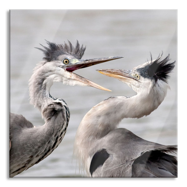 Ebern Designs Brawling Birds - No Frame Print on Glass | Wayfair.co.uk