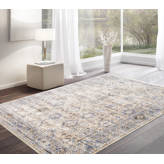 Pasargad Amadeus Oriental Rug & Reviews | Wayfair