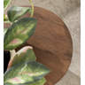 Latitude Run® Round Ribbed Wood Drink Table & Reviews | Wayfair