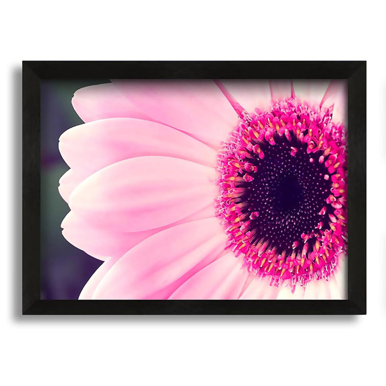 Ebern Designs Pink Gerbera Daisy Centre - Single Picture Frame ...