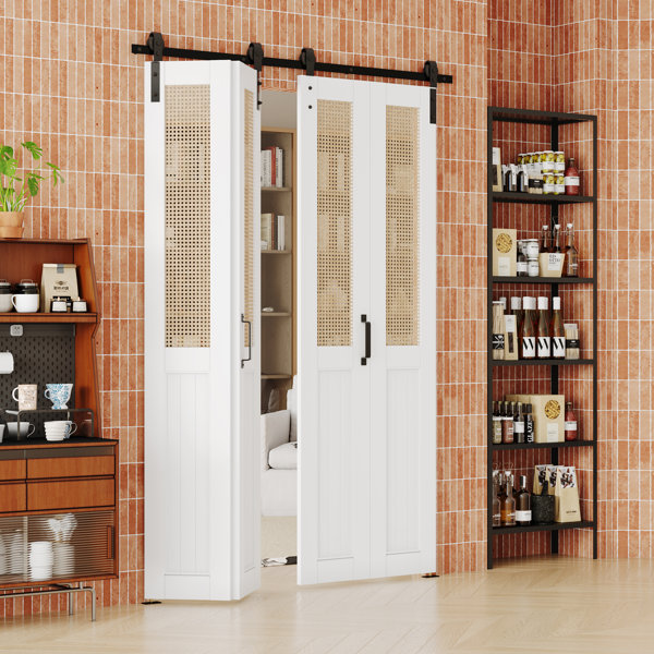 CHIC MODE Bi-Fold Sliding Barn Door, Cane Webbing Panel With Sliding ...