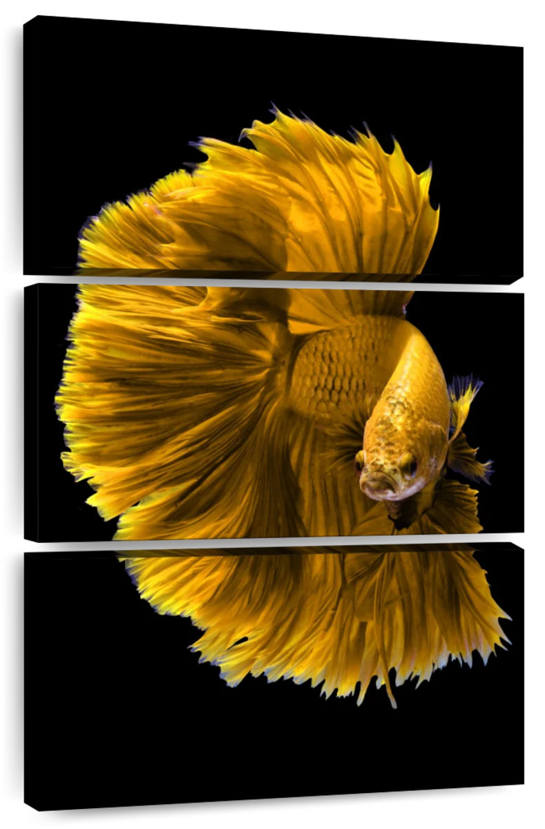 Ebern Designs Brampt Yellow Dragon Betta Fish - Wayfair Canada