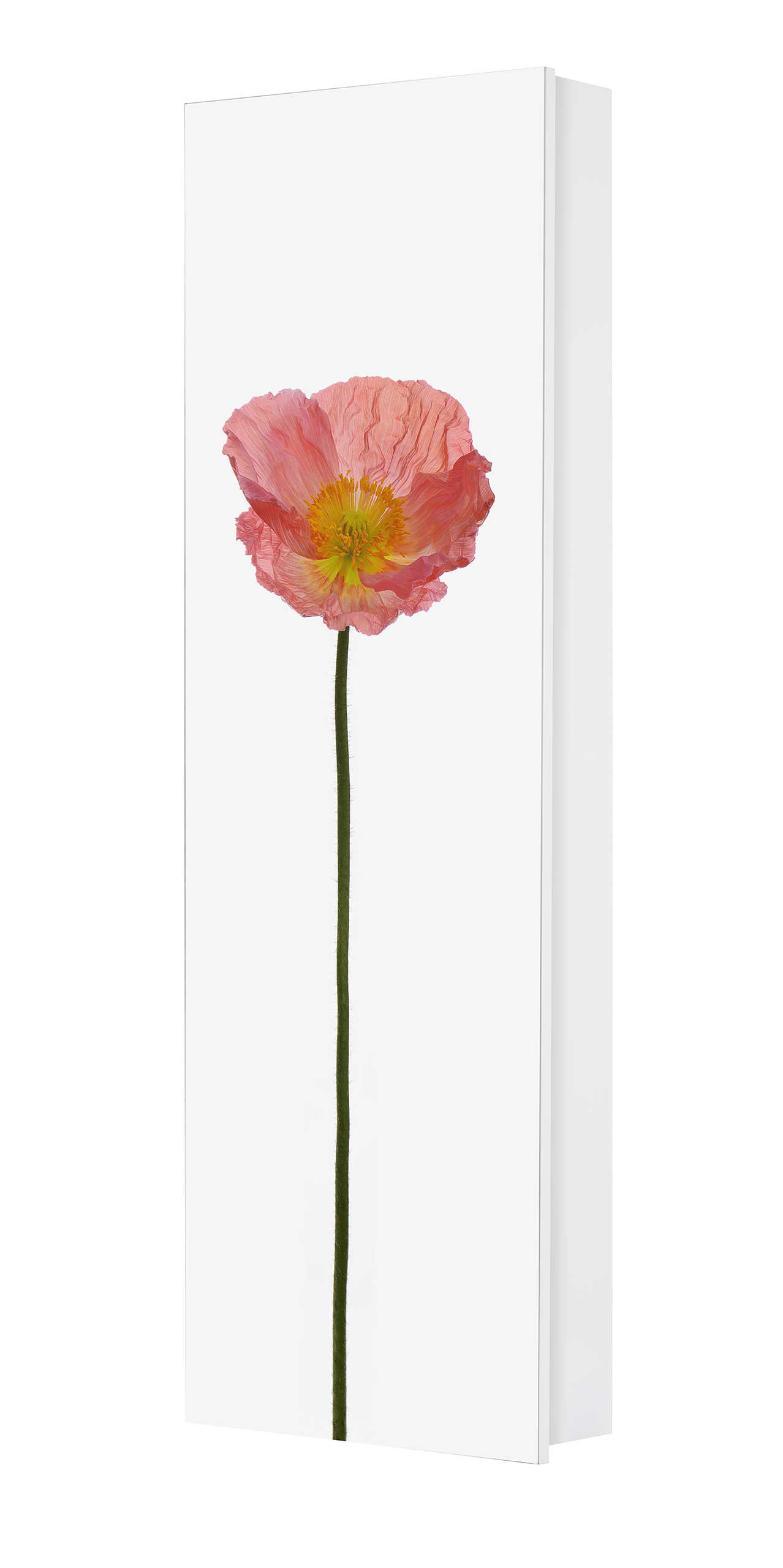 East Urban Home Mazelyn Metal Wall Bathroom Cabinet | Wayfair.co.uk