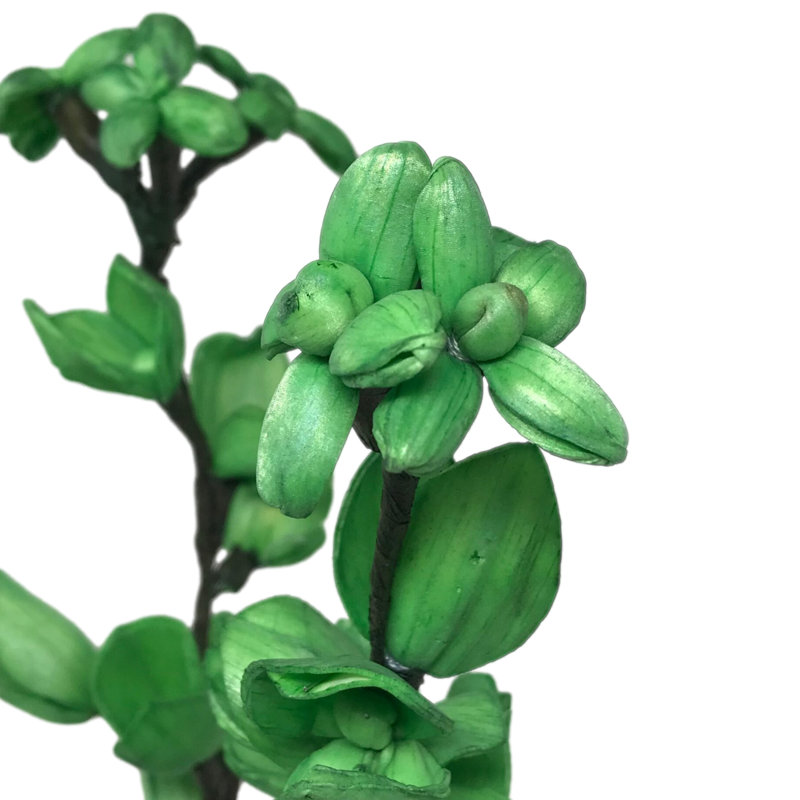 Primrue Entrada Grass Stem | Wayfair