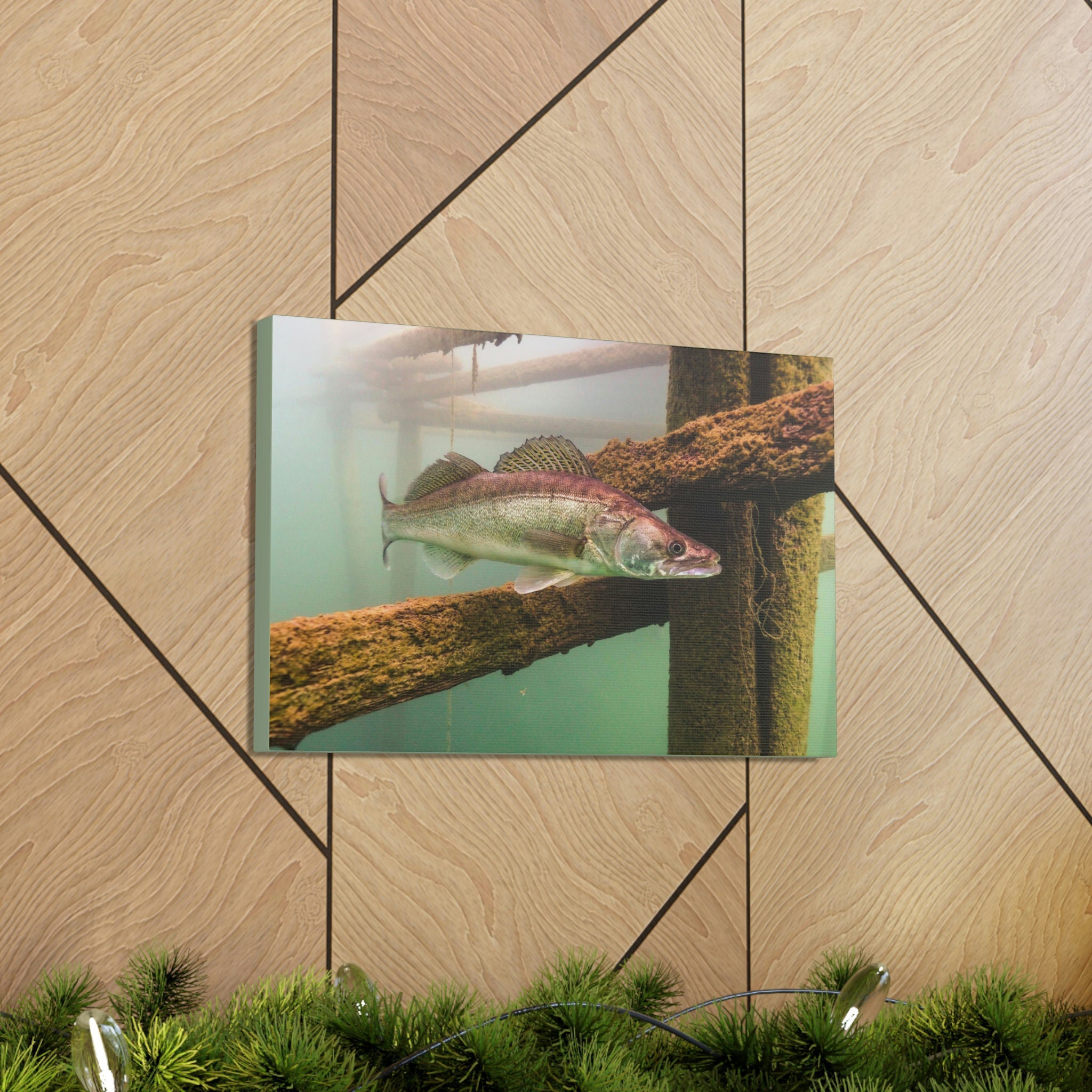 Beachcrest Home Majestic Zander Art Majestic Zander Print Animal Wall ...