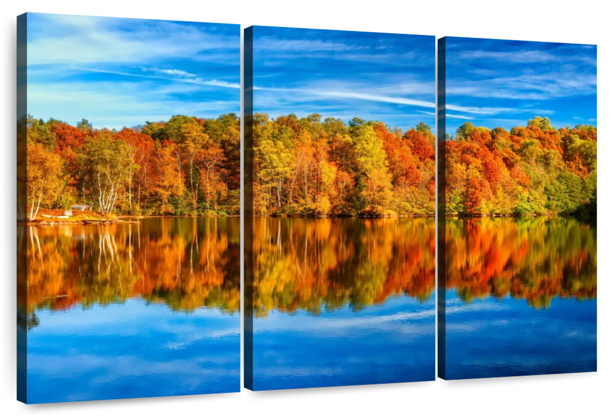 Millwood Pines Alvord The Two Faces Of Fall | Wayfair
