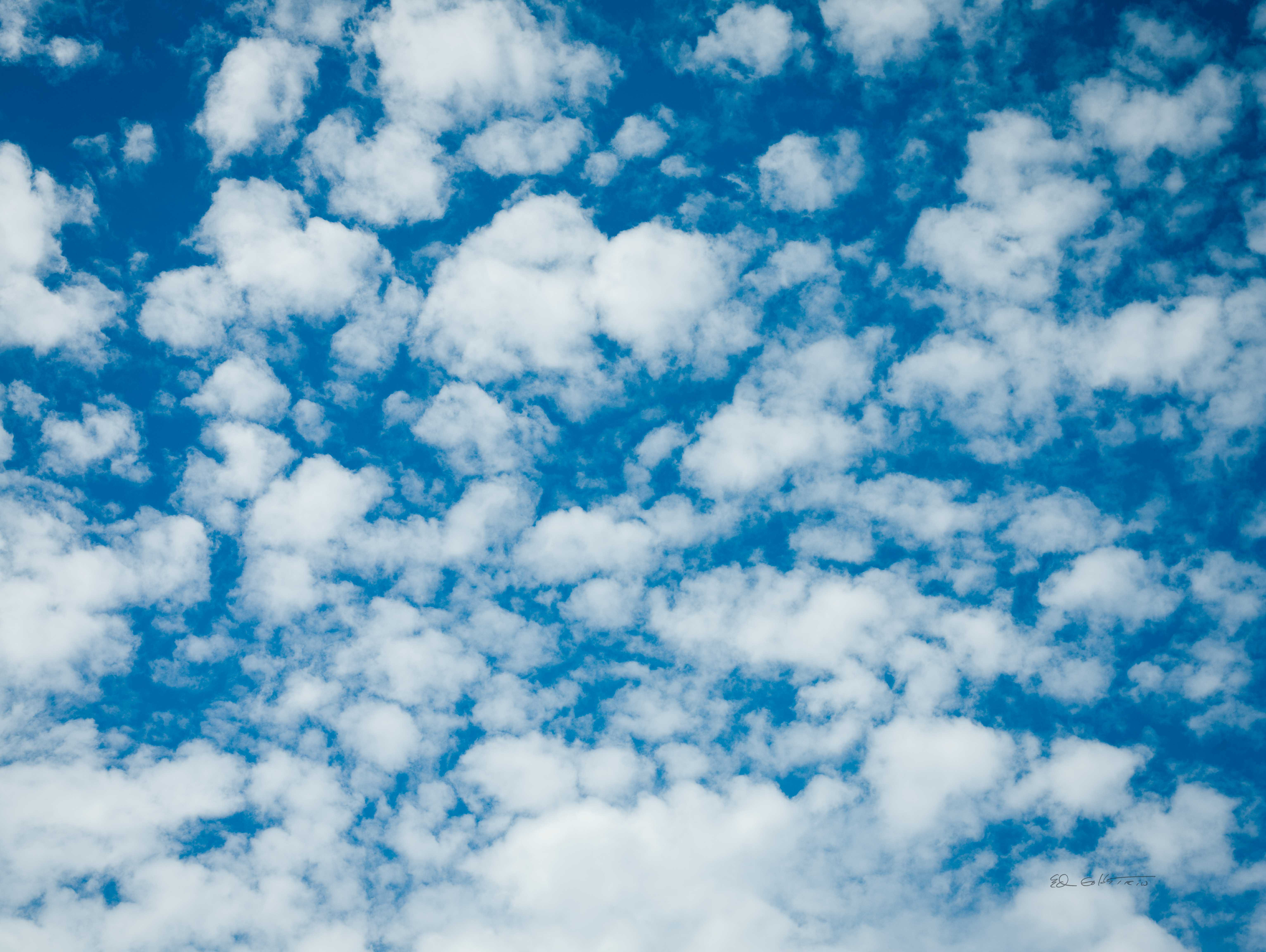 Ebern Designs Powder Puff Skies by Ed Goldstein - Wrapped Canvas Print ...