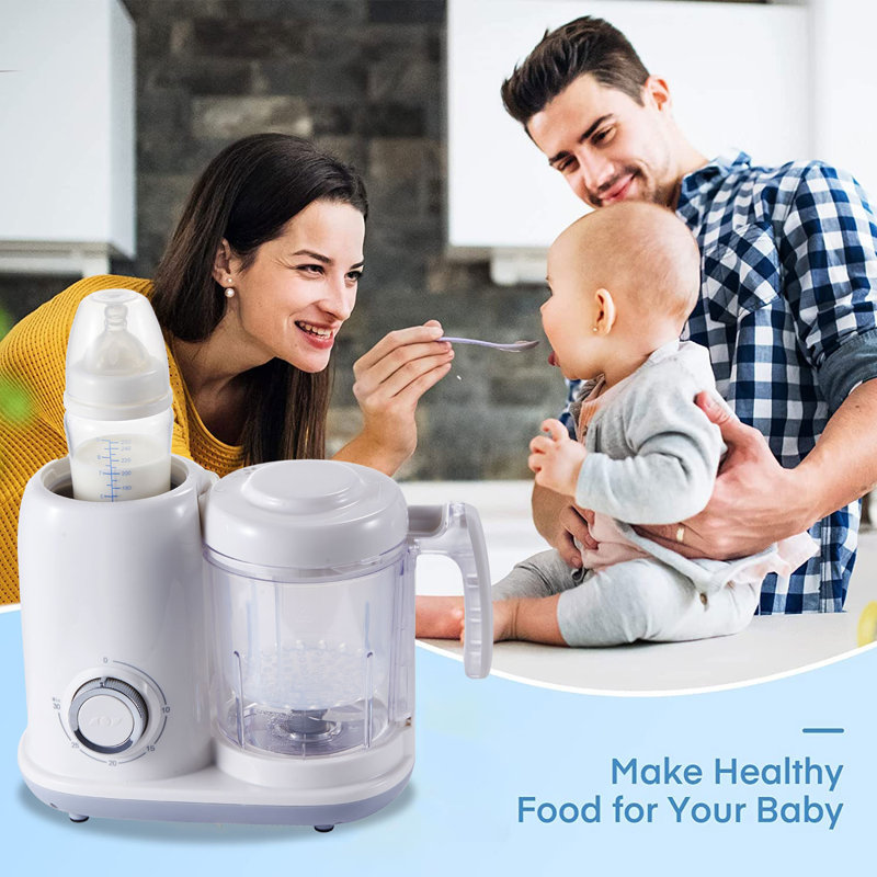 Sndoas Baby Food Maker With Blender And Steamer 2 In 1 | Wayfair