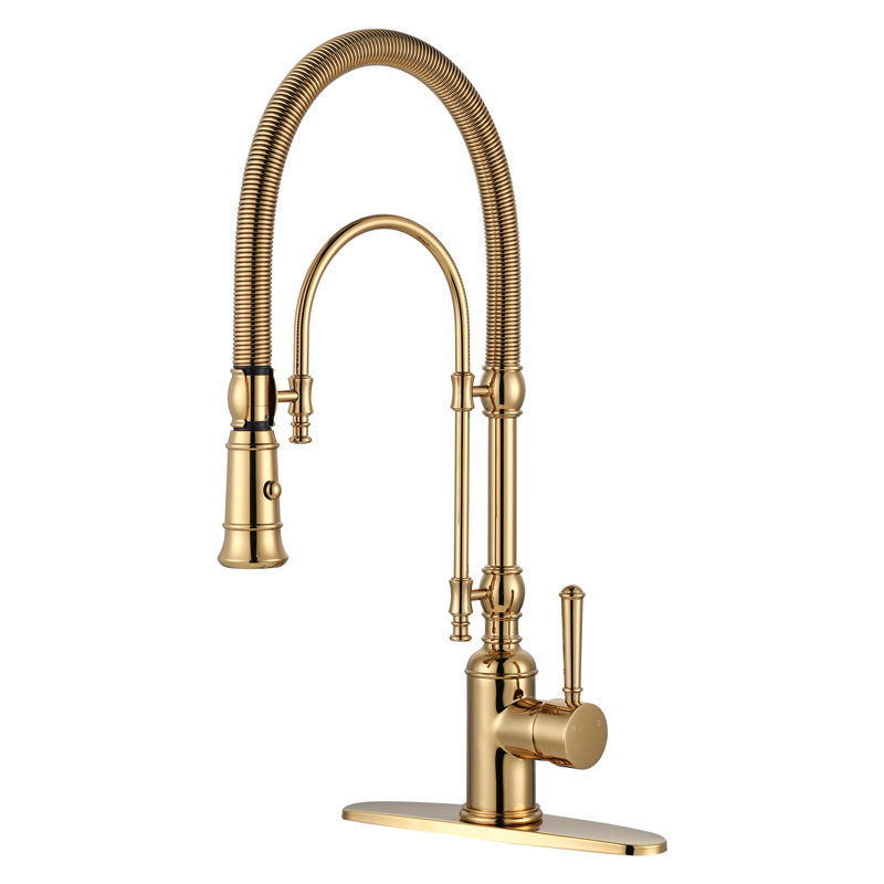 Aleasha Pull Out Gooseneck High-Arc Kitchen Faucet & Reviews | Wayfair