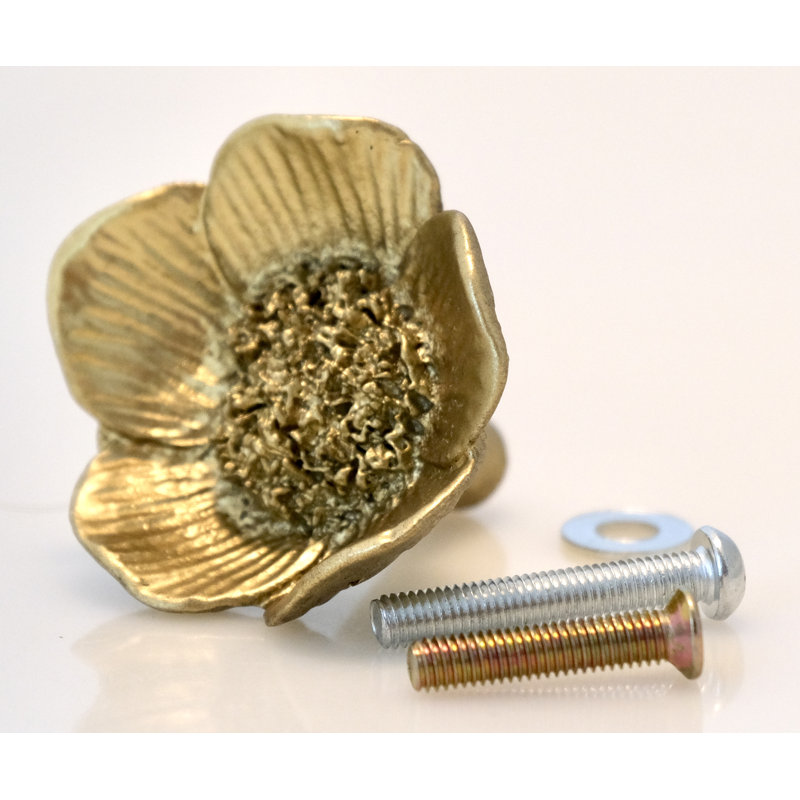 Charleston Knob Company Flower Knob in Antique Gold finish | Wayfair