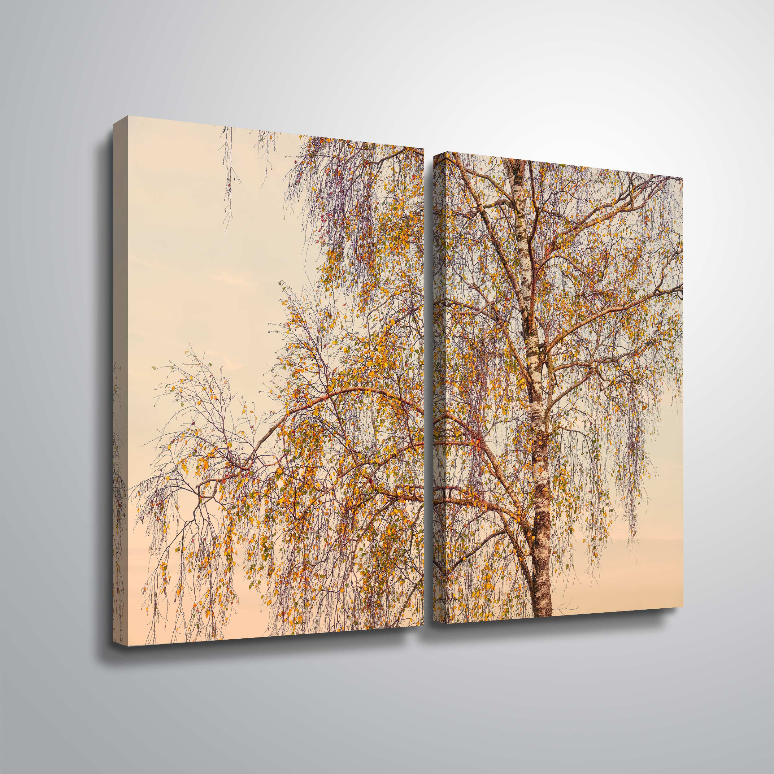 Darby Home Co 'Birch' Photographic Print Multi-Piece Image on Canvas ...