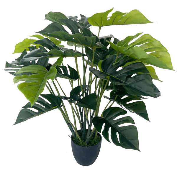Primrue 31'' Faux Philodendron Monstera Plant in Pot & Reviews ...