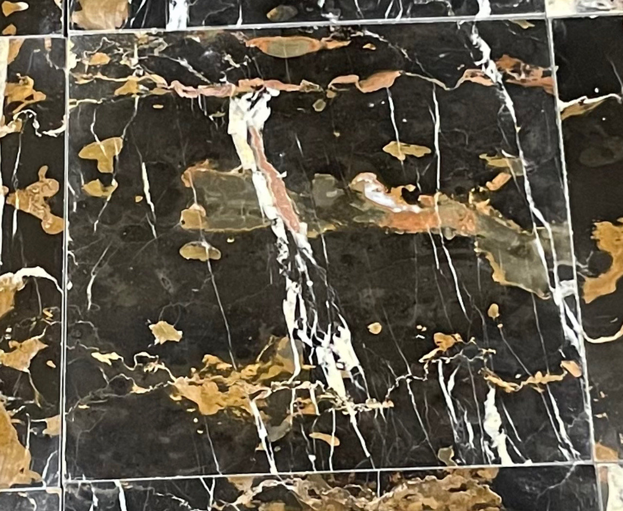 Tileville Michelangelo Michael Angelo 12" x 12" Marble Natural Stone ...