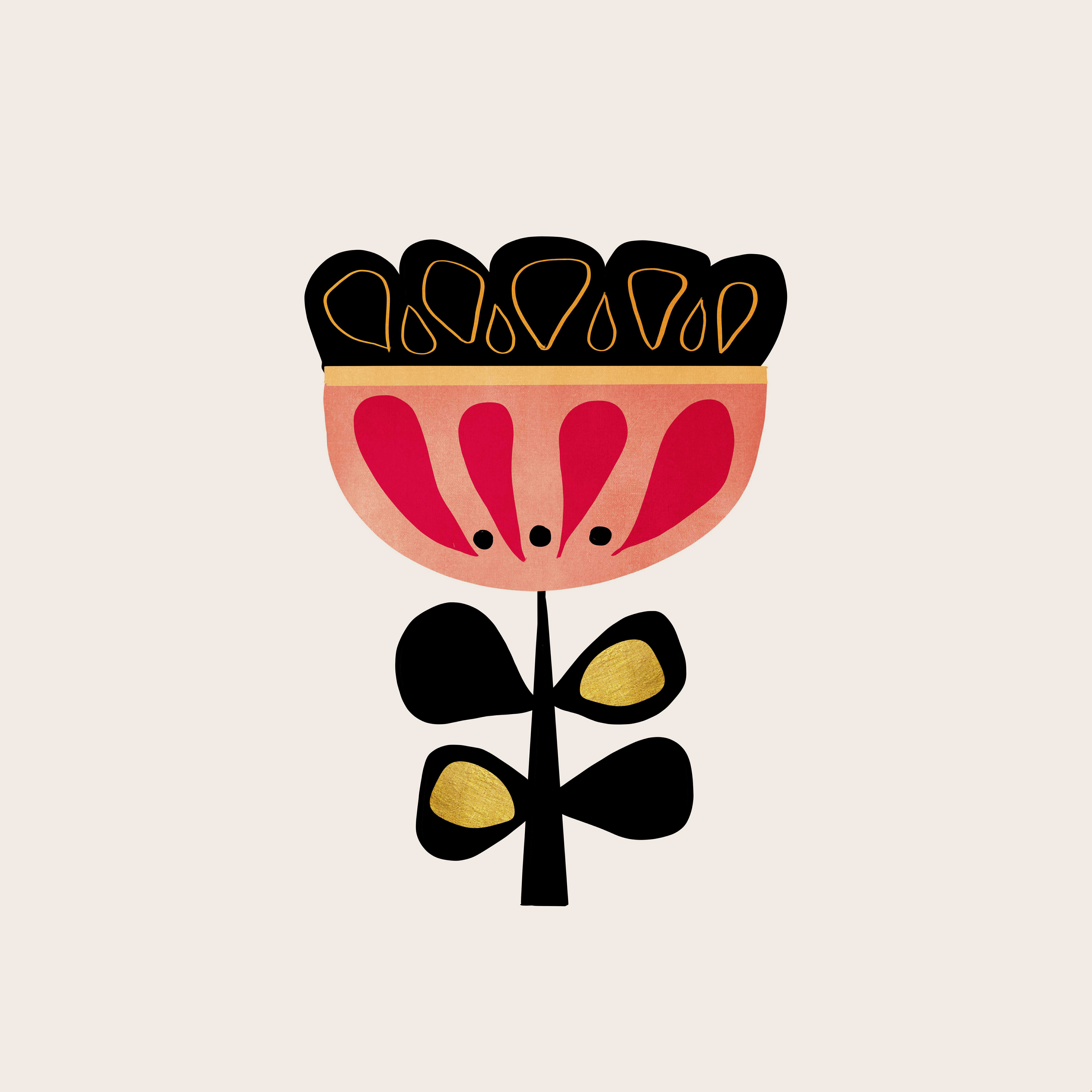 Dakota Fields Elio Viviana Gonzalez Minimal Flower 01 by Viviana ...