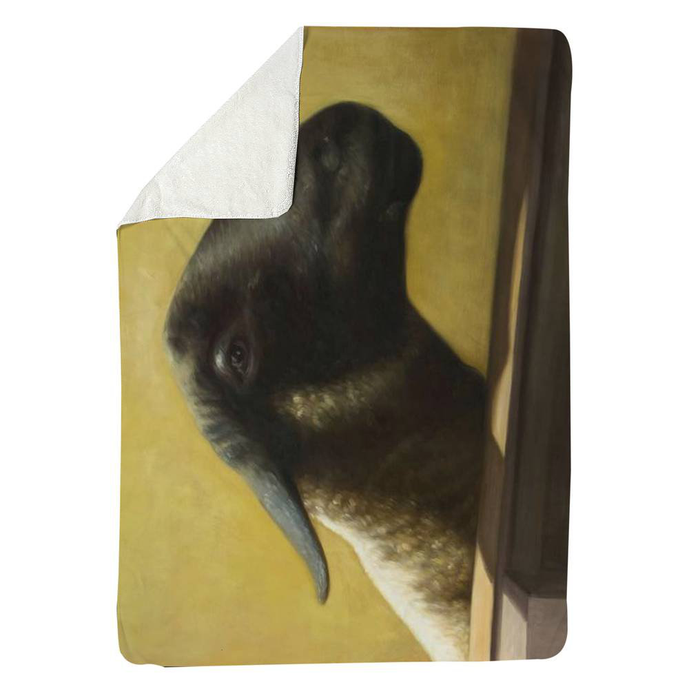 Begin Edition International Inc. Young Ram Fleece Blanket | Wayfair