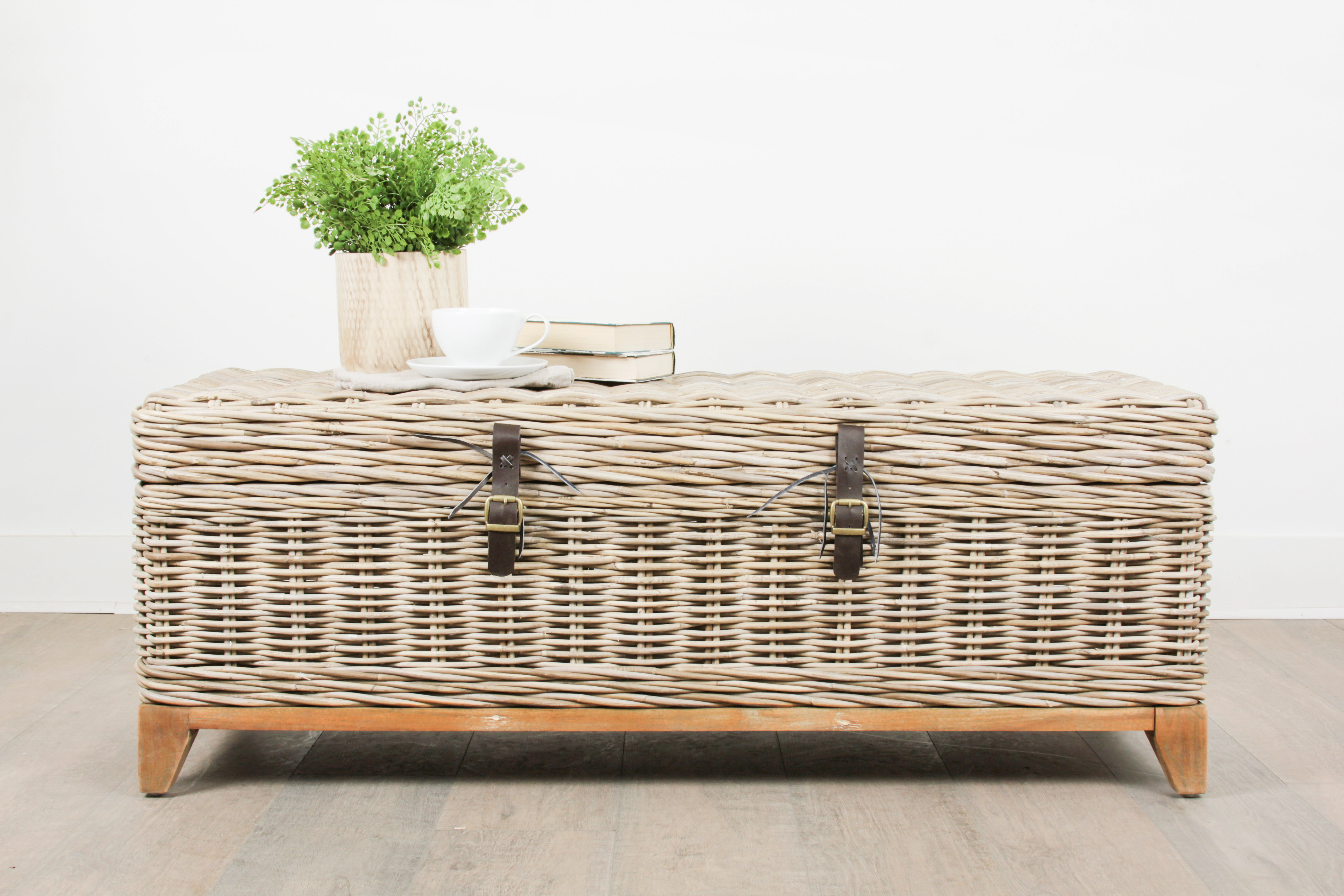 Laurel Foundry Modern Farmhouse Demetri Trunk & Reviews - Wayfair Canada
