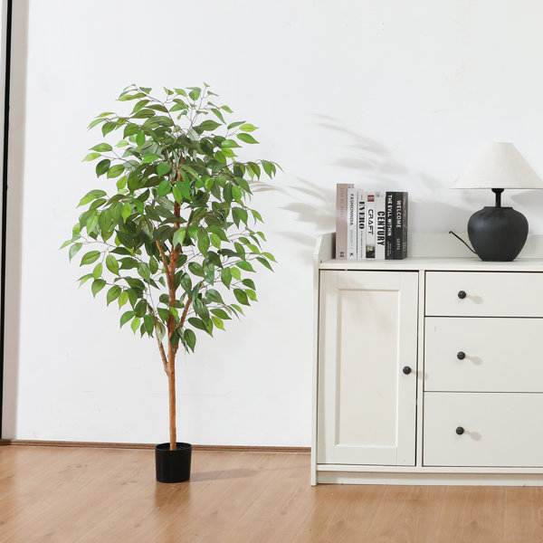 Trees | Wayfair