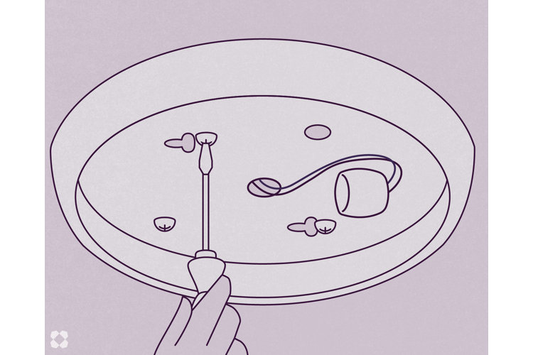 How to Replace a Ceiling Light Fixture | Wayfair