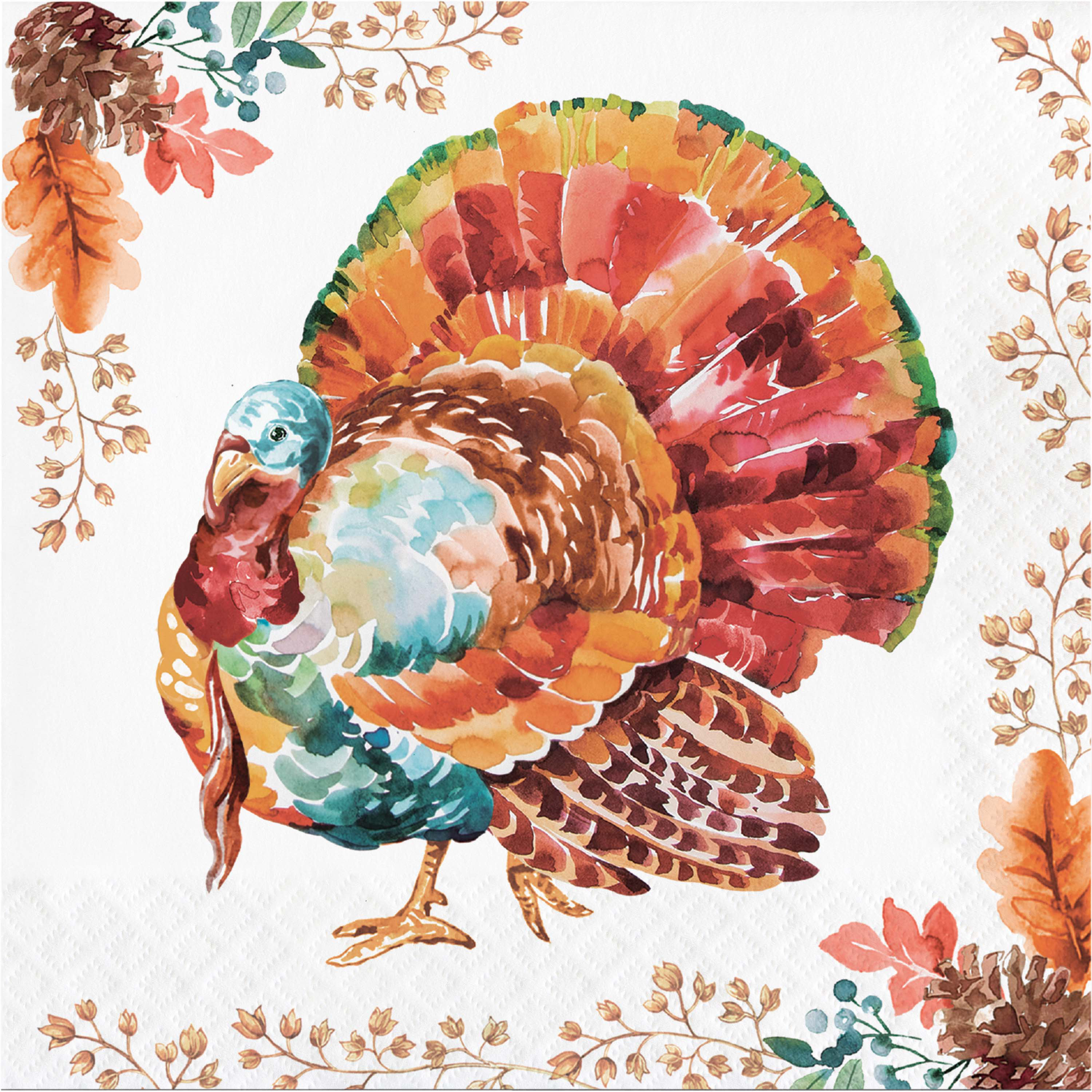 Say Hooray! Tasteful Turkey Dinner Napkins, 64 ct. | Wayfair