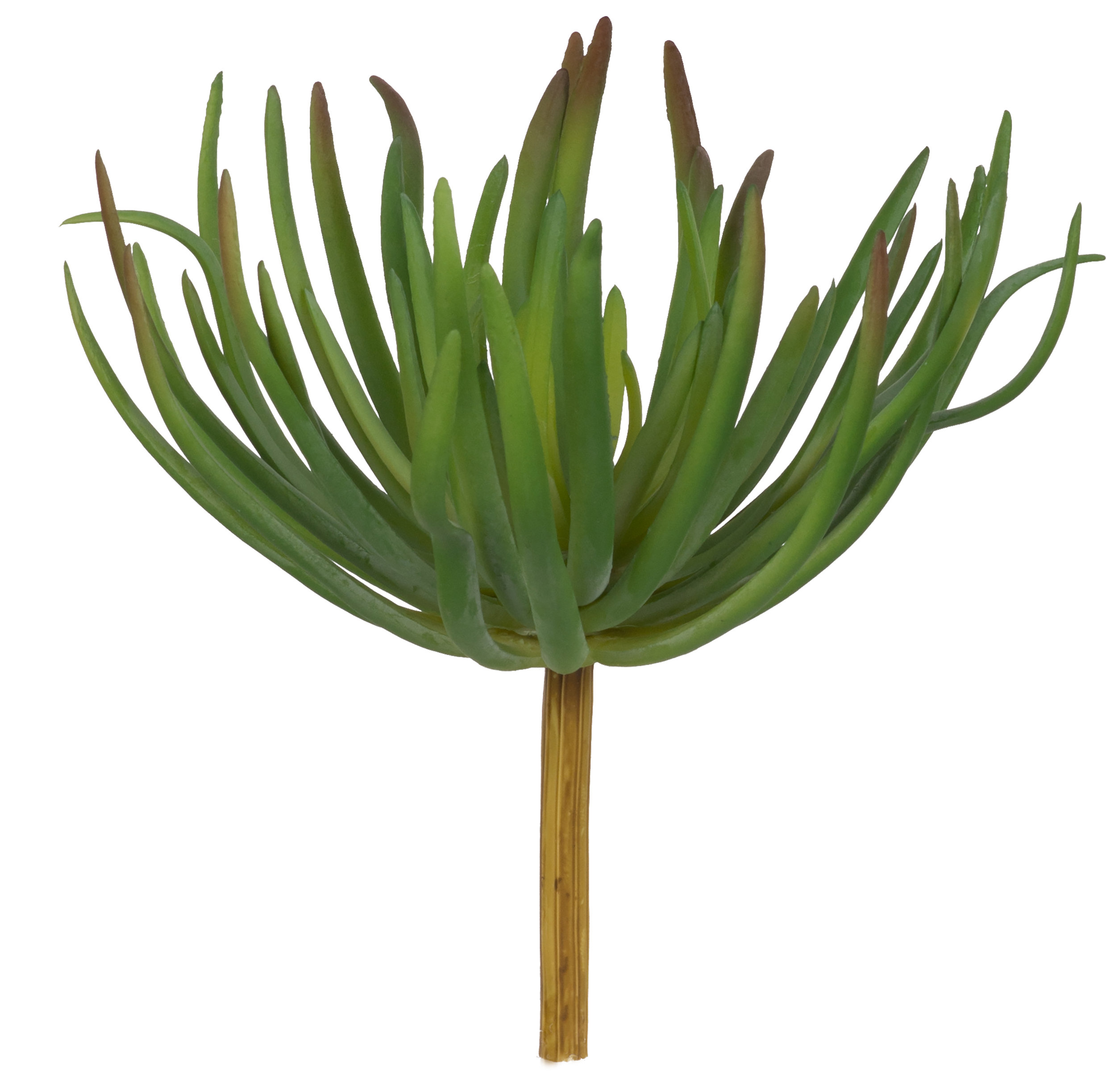 Bungalow Rose Faux Stonecrop Stem | Wayfair