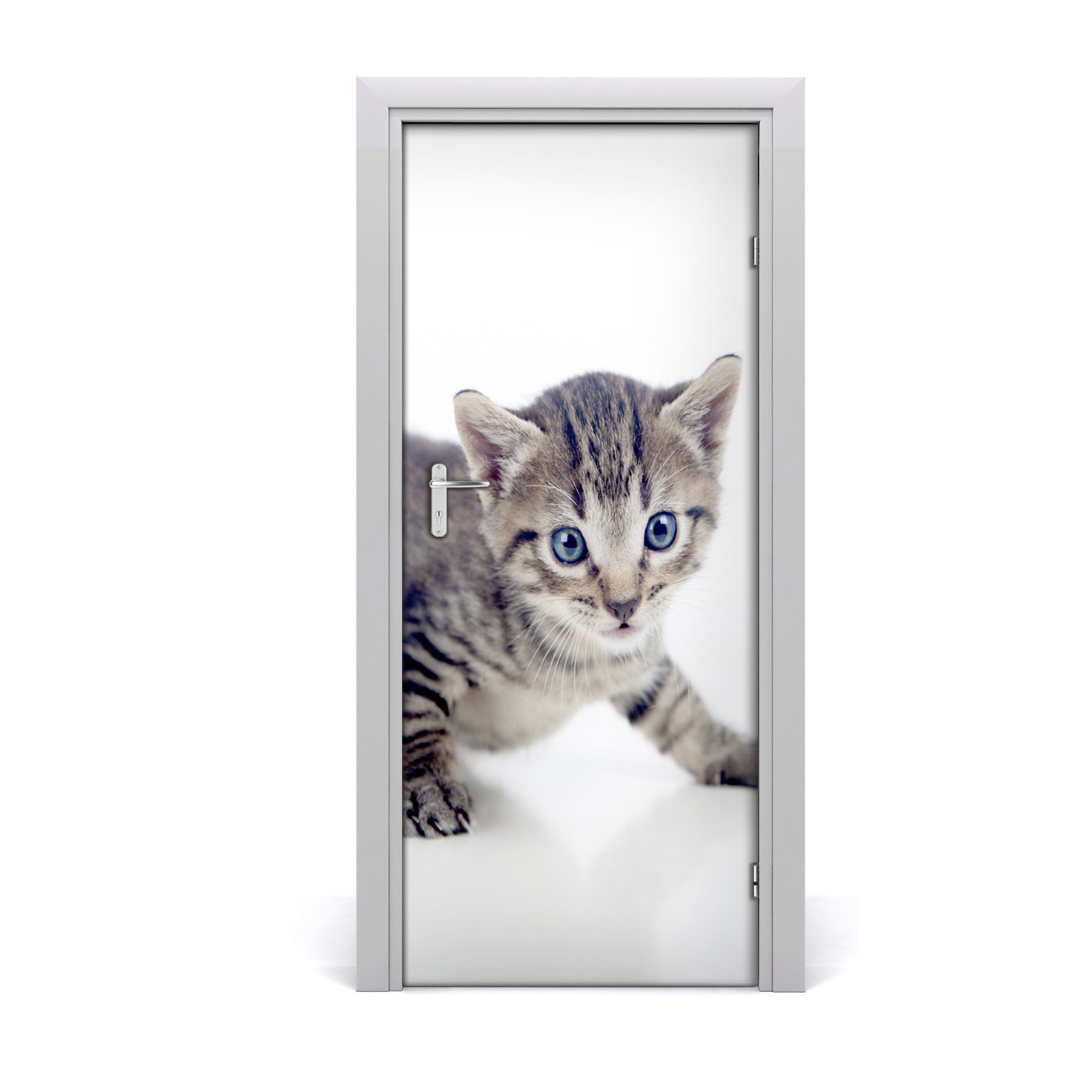 Ebern Designs Little Cat Door Sticker | Wayfair.ie
