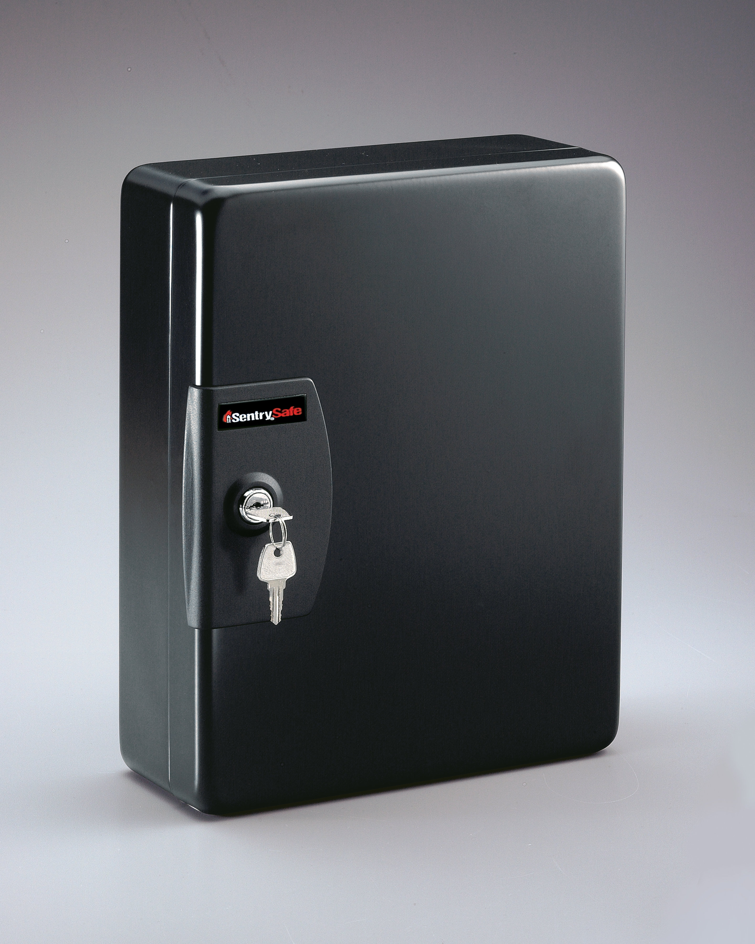 Sentry Safe SentrySafe Key Cabinet with Key Lock & Reviews - Wayfair Canada