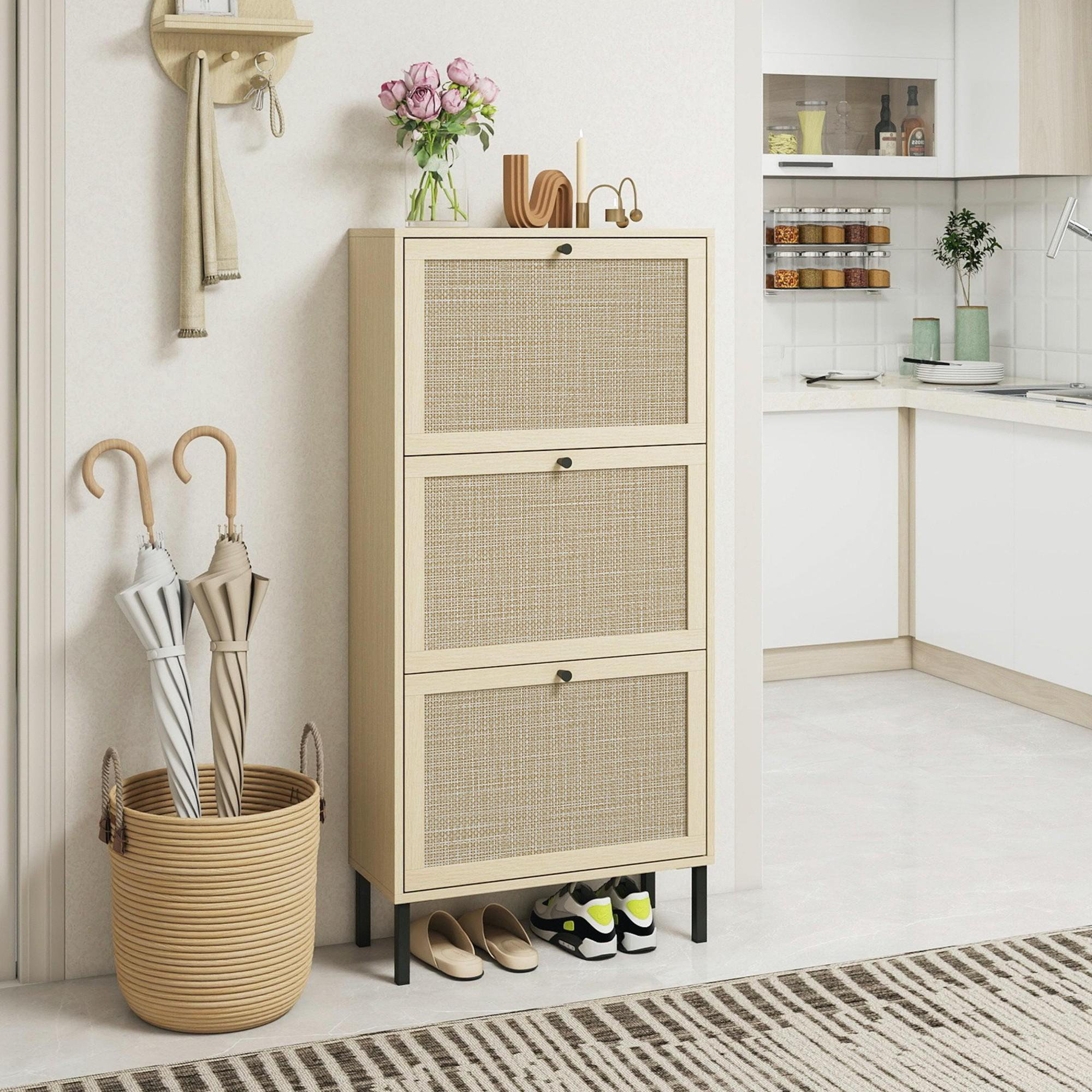 Bayou Breeze Modern Sophisticated Shoe Storage Cabinet for Entryway ...
