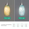 Wade Logan® Anamta 1 - Light Single Teardrop Pendant & Reviews | Wayfair
