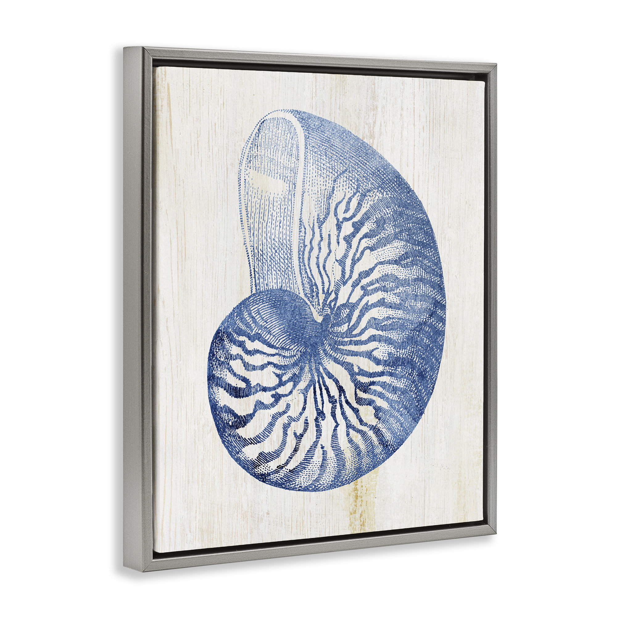 Dakota Fields Blue Nautilus Shell Floating Frame, design by Susan Arnot ...