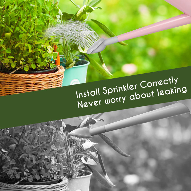 ColorLife Watering Can - Wayfair Canada