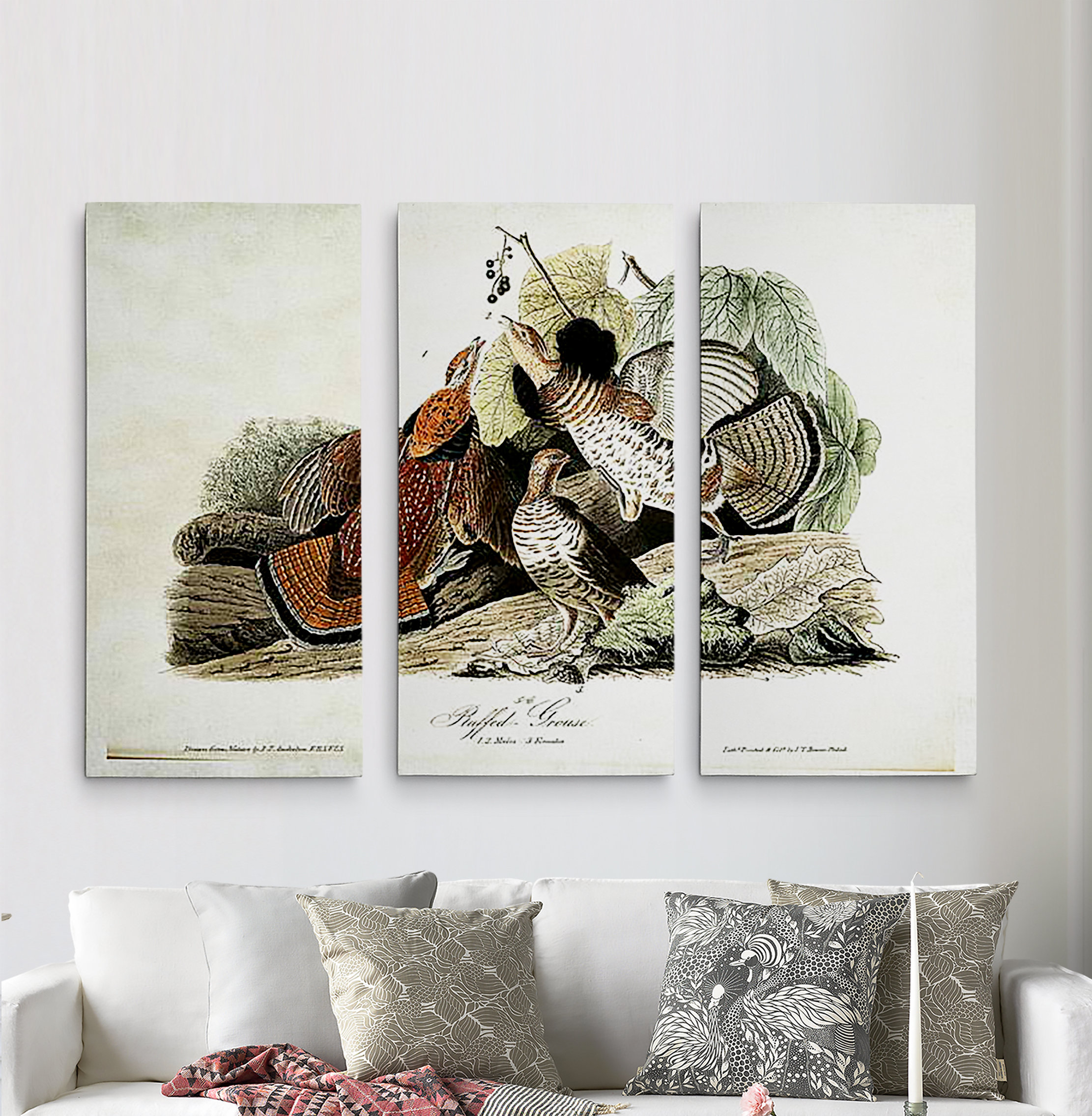 Charlton Home® A Premium 'Aviary Drawing V' Graphic Art Multi-Piece ...