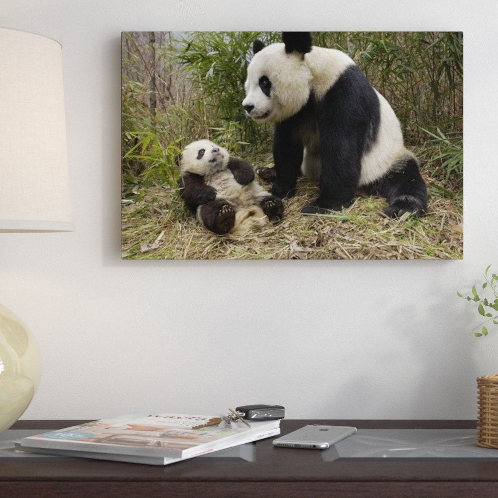 East Urban Home Giant Panda and Baby - Photograph Print on Canvas ...