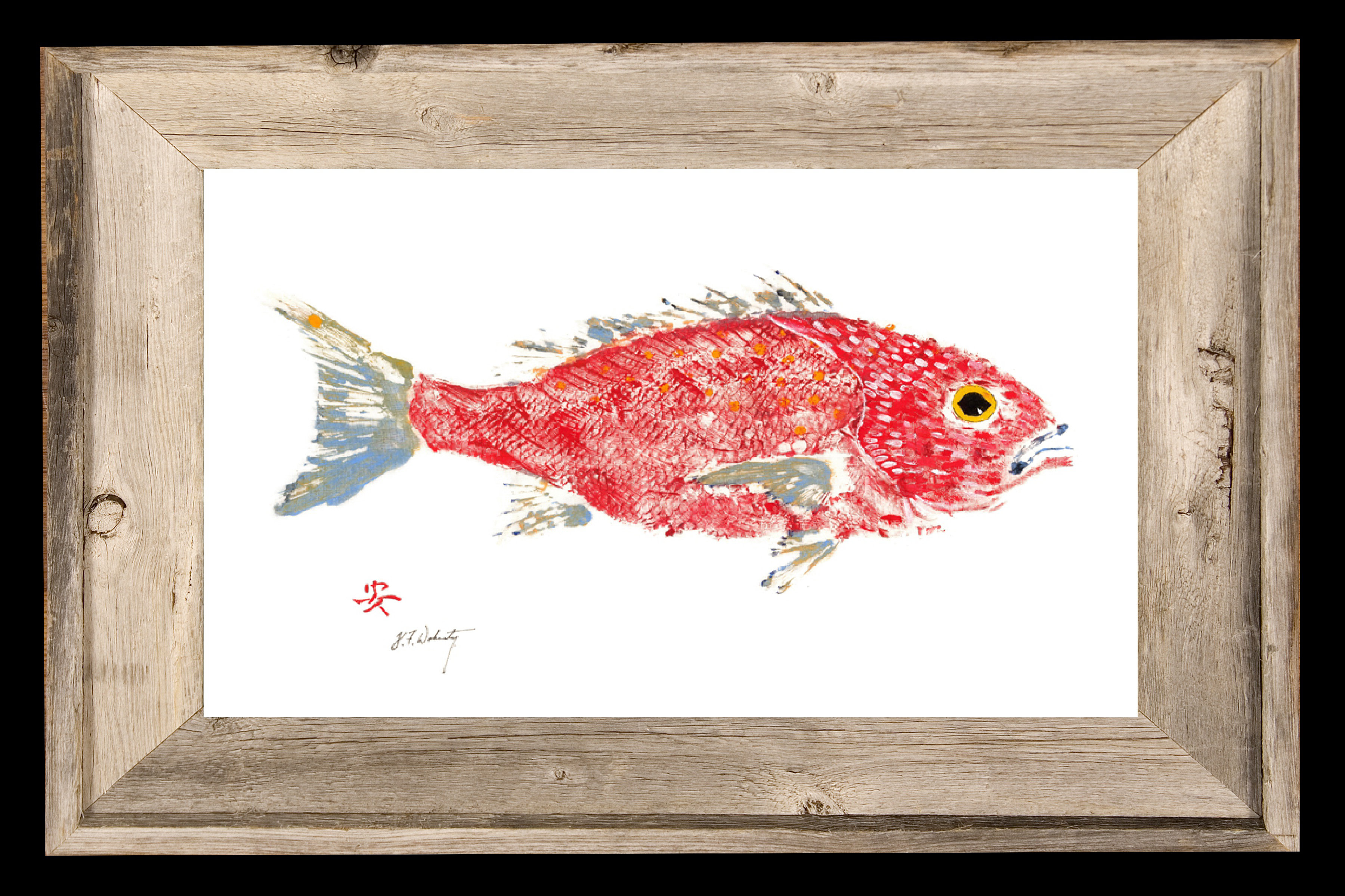 FishAye Trading Company Red Snapper by JFD – Coastal Framed Fish ...